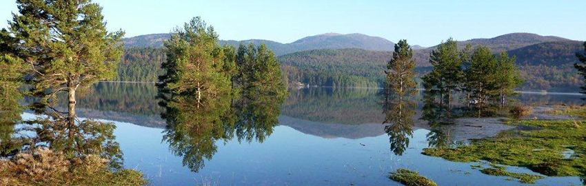 Obiščite Pivko - Park vojaške zgodovine